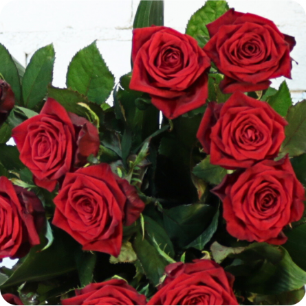 Passion XL, bouquet de roses rouges | Rue Des Fleurs | fleuriste Nancy