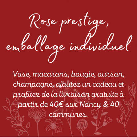 Rose prestige, emballage individuel | Rue Des Fleurs | fleuriste Nancy