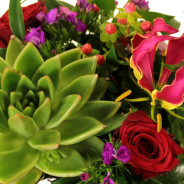 Fleuriste Nancy/Essey/Villers/Vandoeuvre, ouvert dimanche